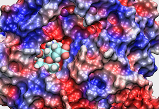 Supercomputer takes on super flu - Futurity