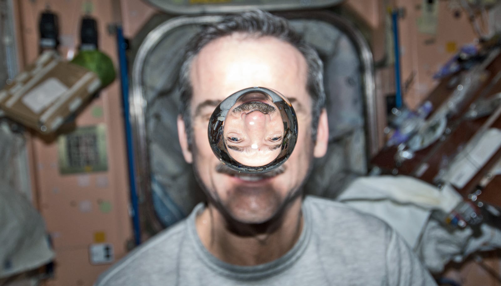 Astronauts' brains change shape in space - Futurity