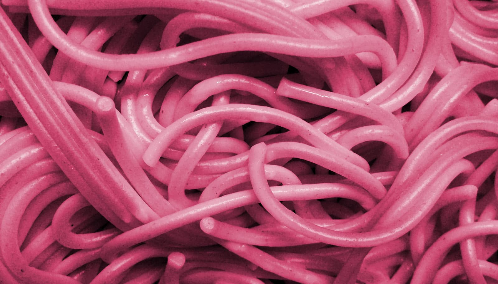 Blood vessel 'spaghetti' makes mini-brain more real - Futurity