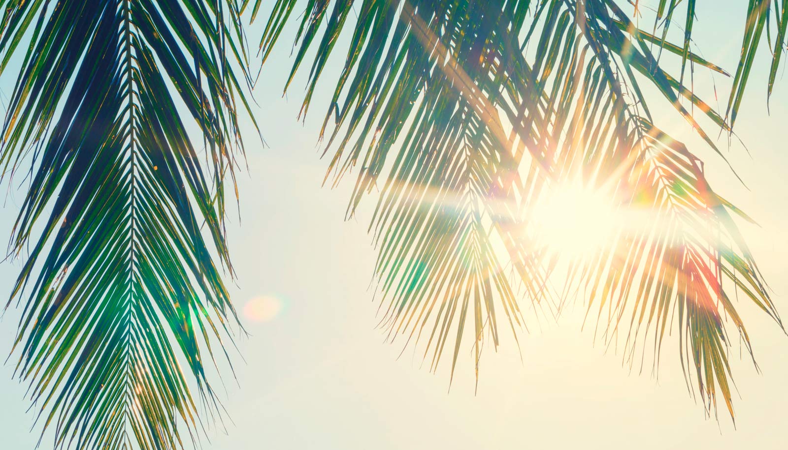 Tropics will see more record-breaking temperatures - Futurity