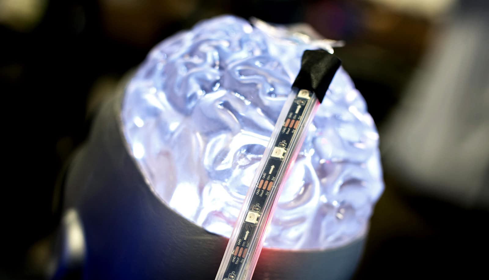 Algorithm predicts epileptic seizures in real-time - Futurity