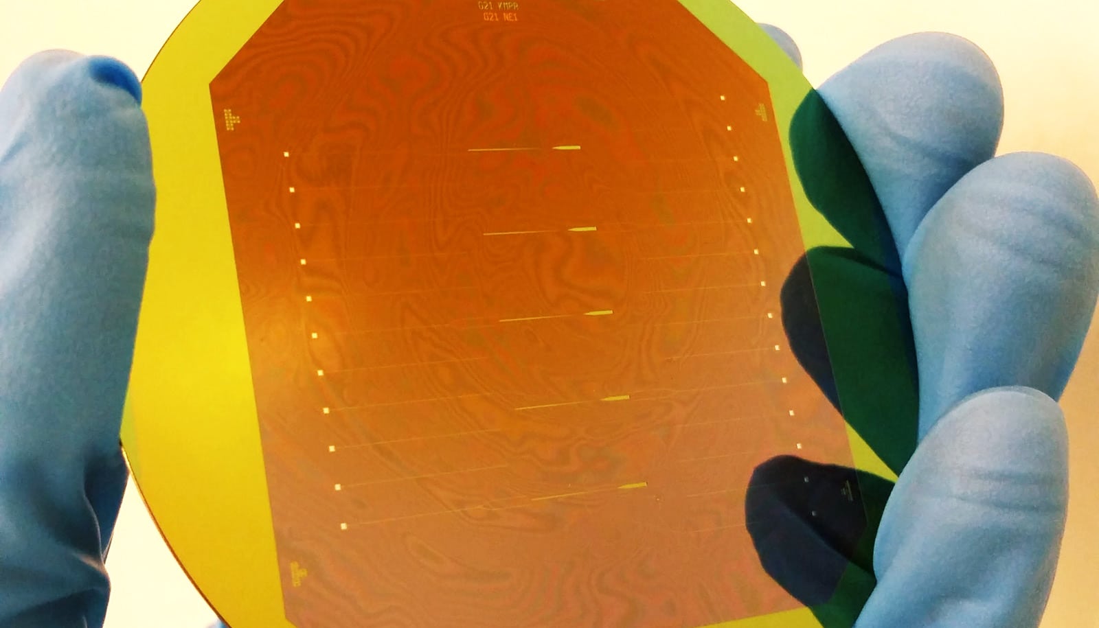 'Assembly line' measures worm cells with a poke - Futurity