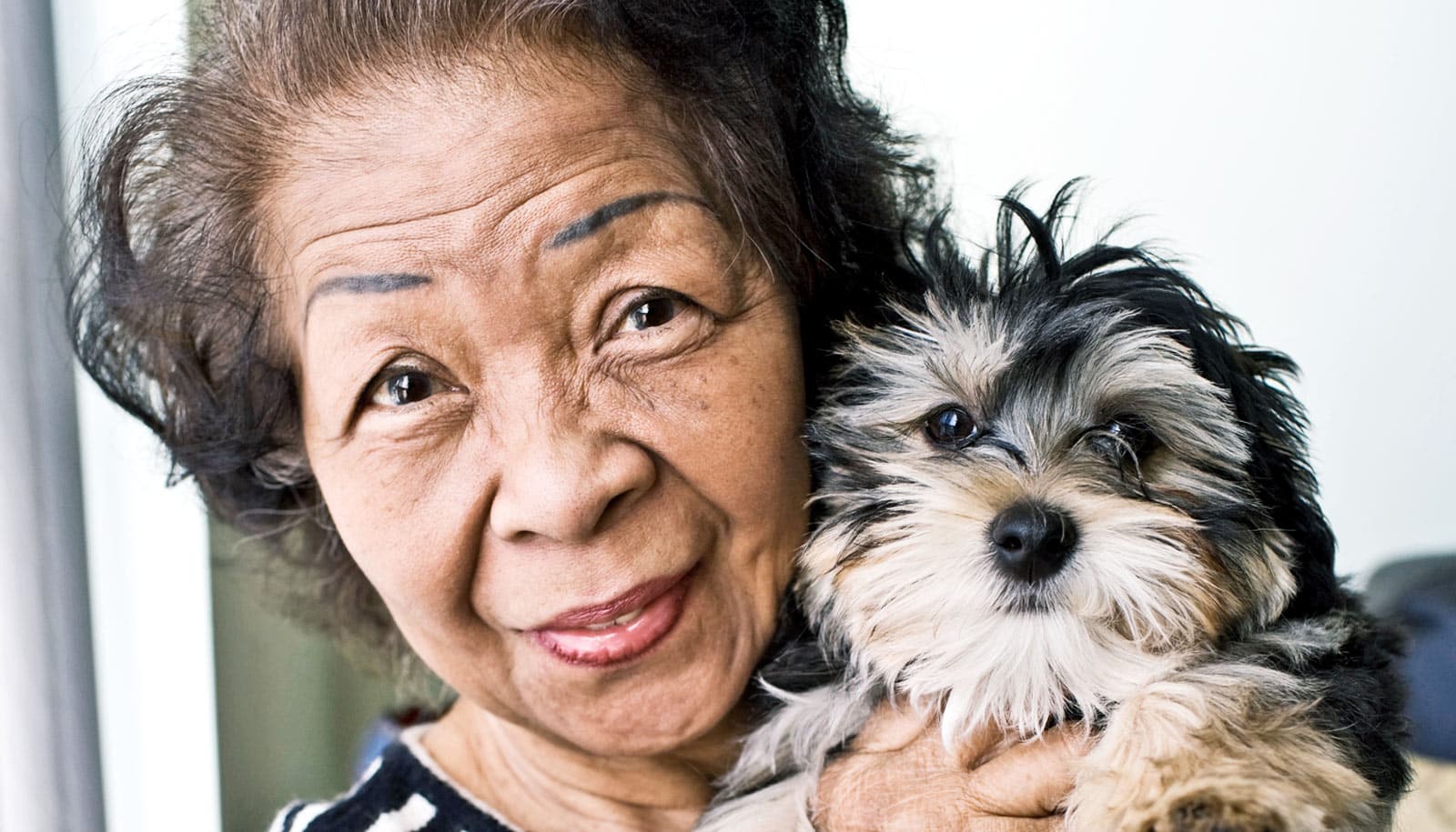 Test for ALS could detect similar disease in dogs - Futurity