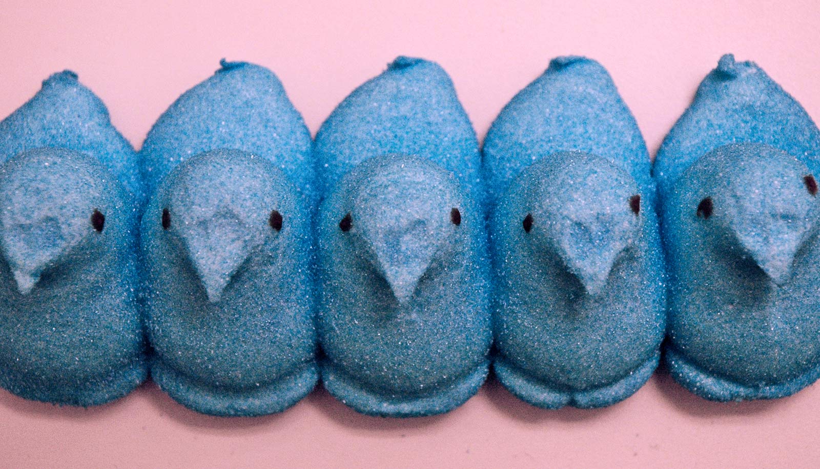 Party, not gender, shapes politicians' tweets - Futurity