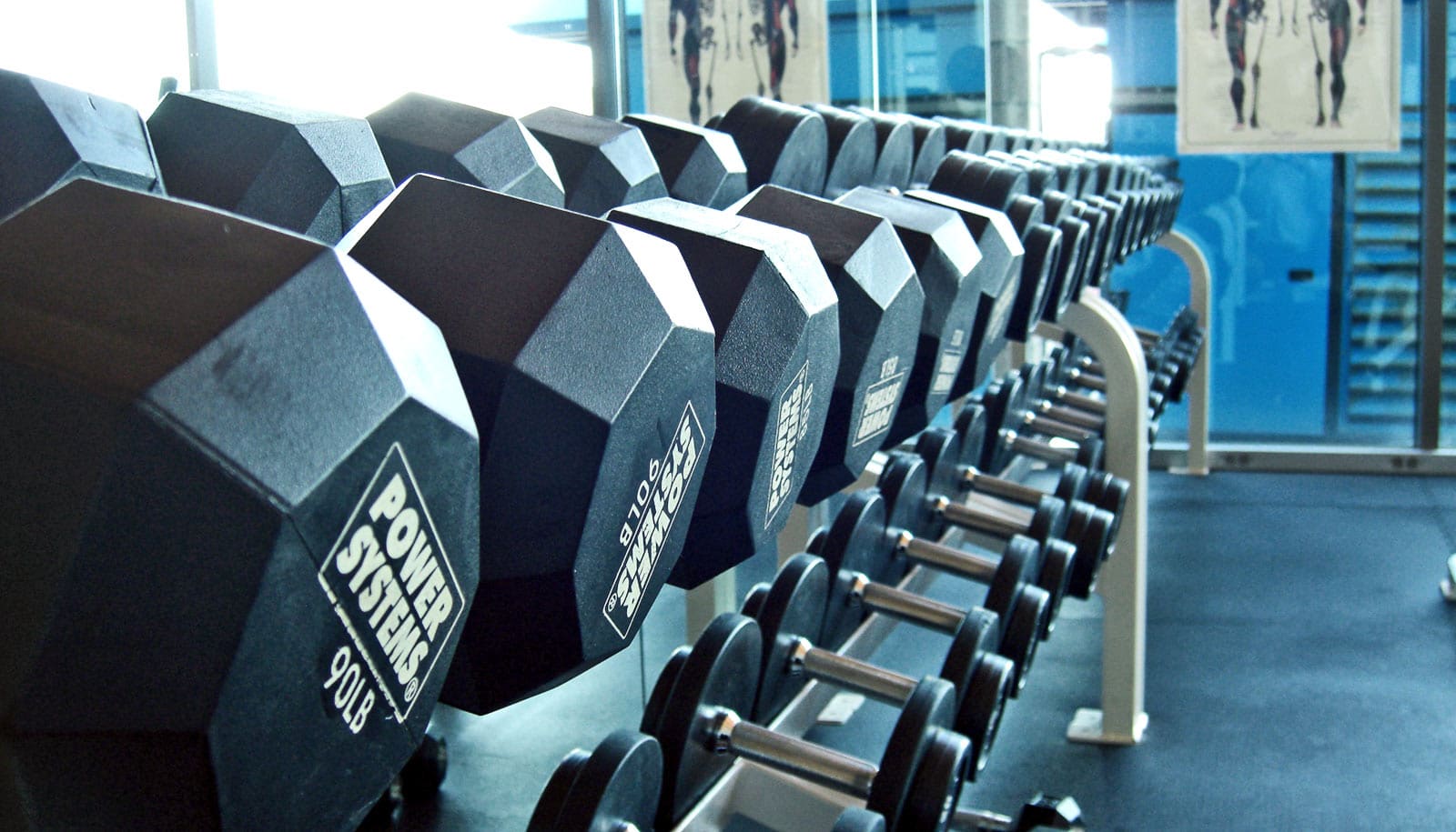 weights-at-gym_1600 - Futurity