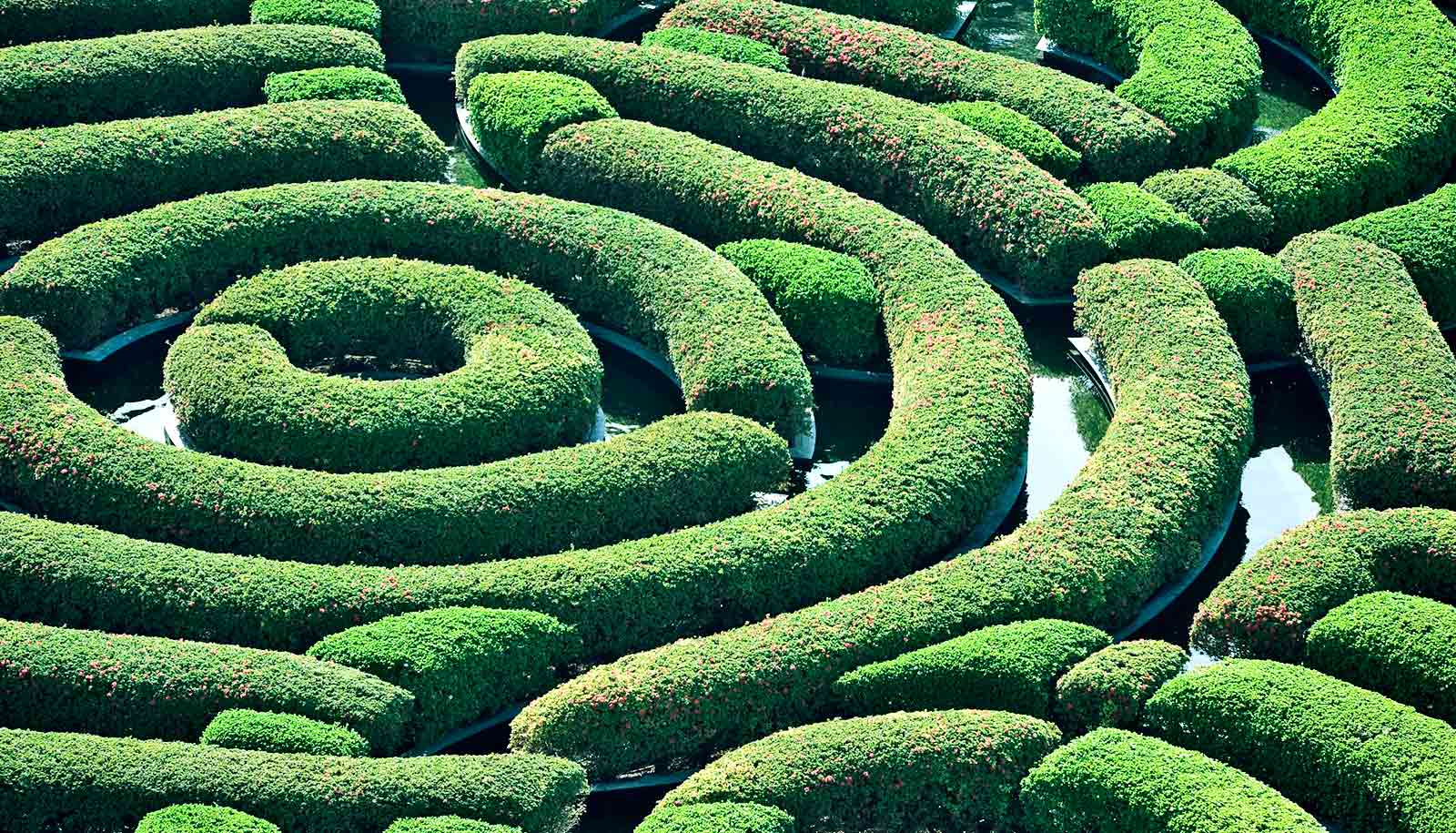 'Labyrinth' chip splits cancer cells from blood for testing - Futurity