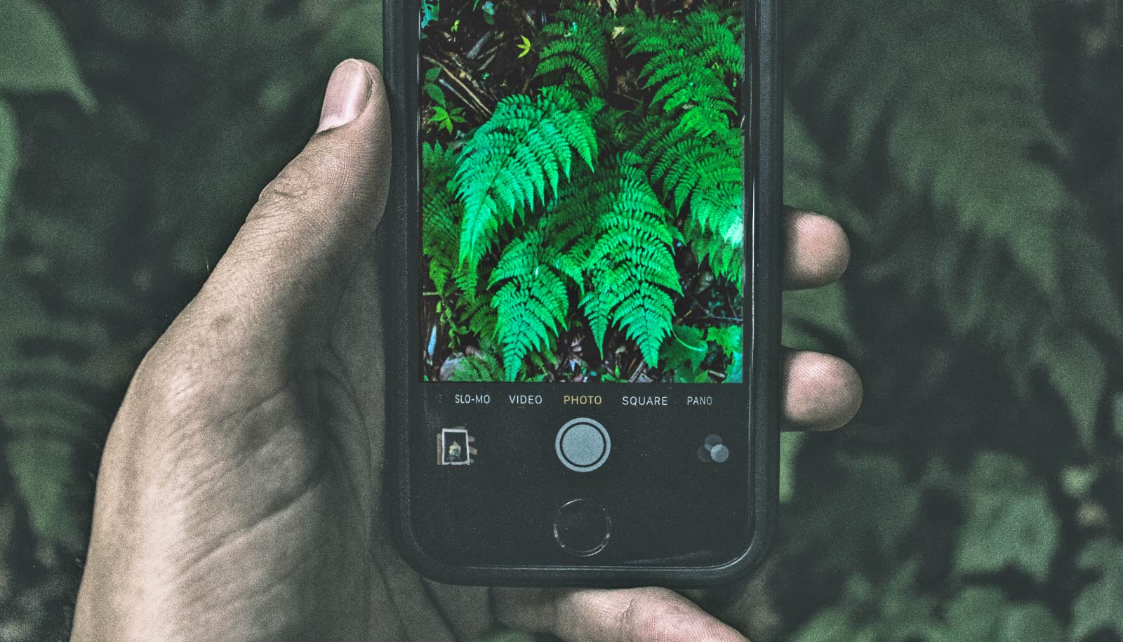 Scientists create ultra-pure green for screens of the future - Futurity