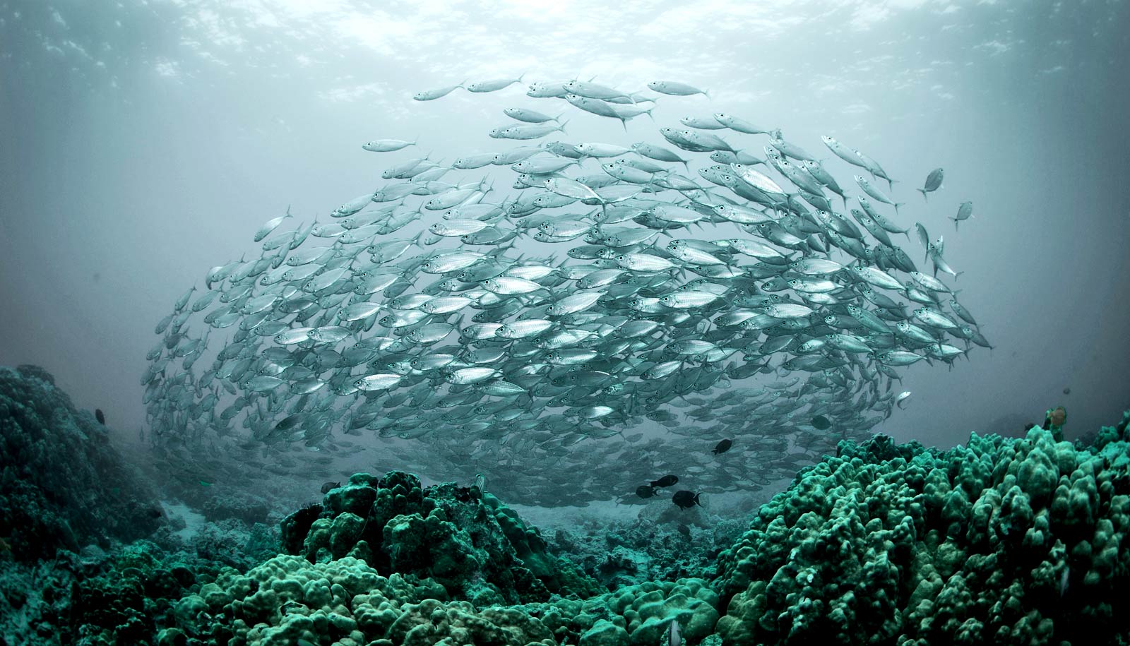 Ultracold atoms confirm 55-year-old physics theory - Futurity