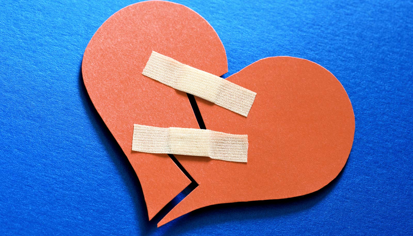 Bigger muscle patch could repair heart attack damage - Futurity