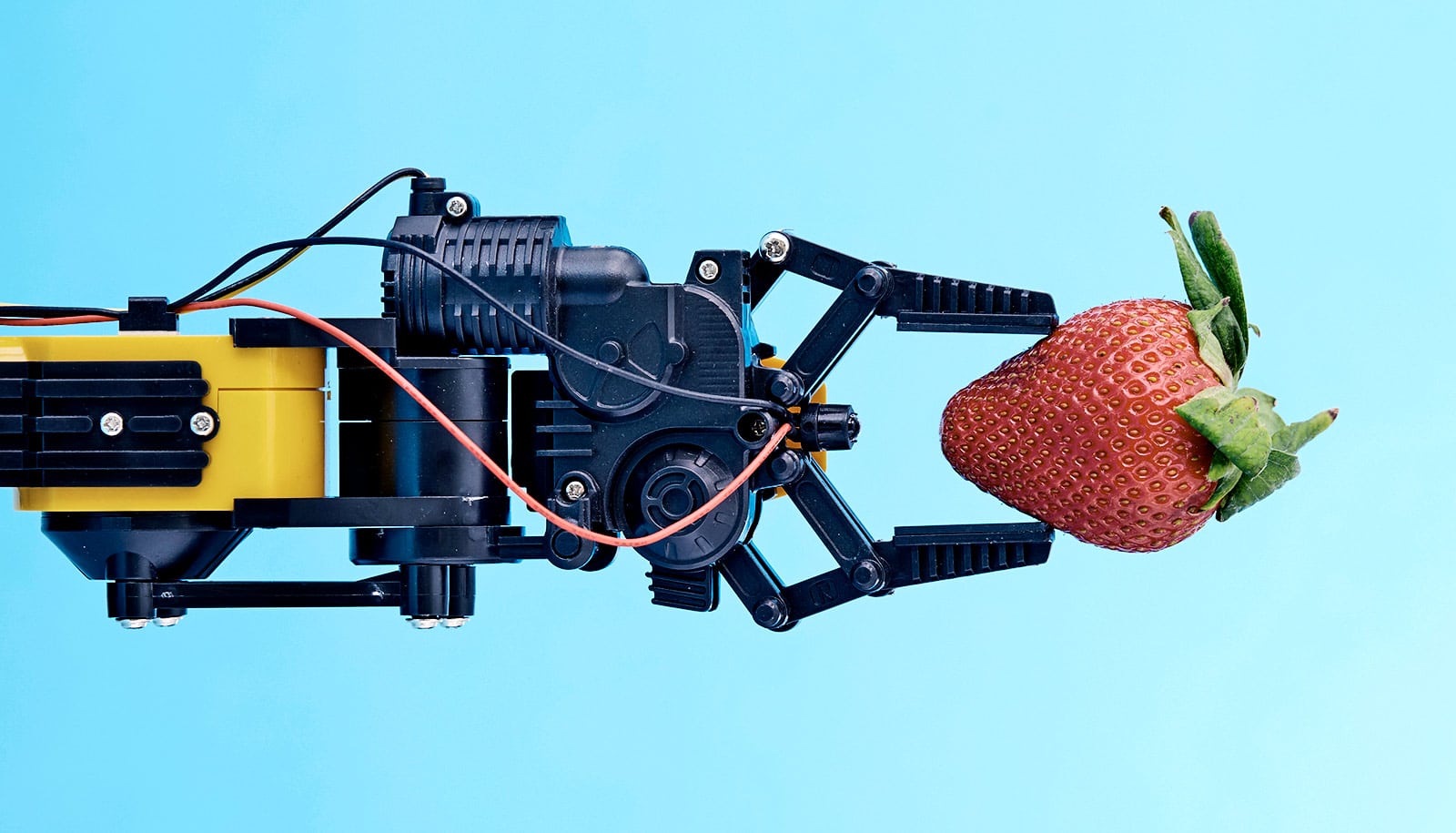 Amputees could control robotic arm with brain implant - Futurity