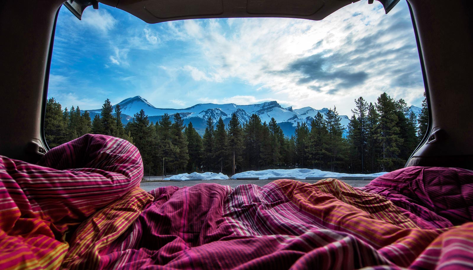 We're forgetting what 'nature' really means - Futurity