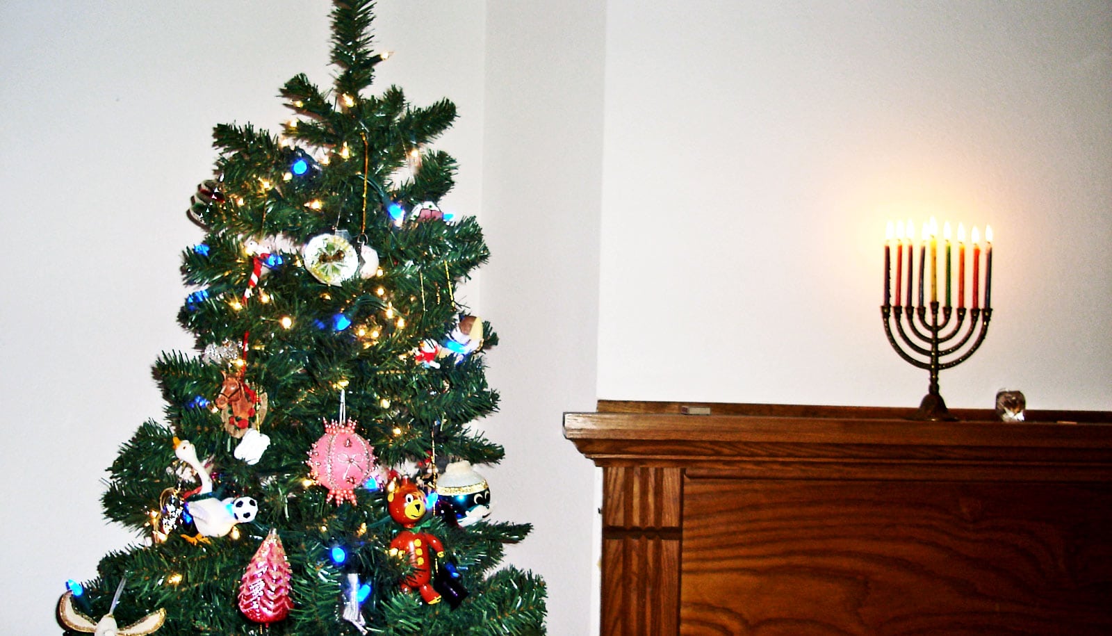 A quick history of Christmas trees in Jewish homes - Futurity