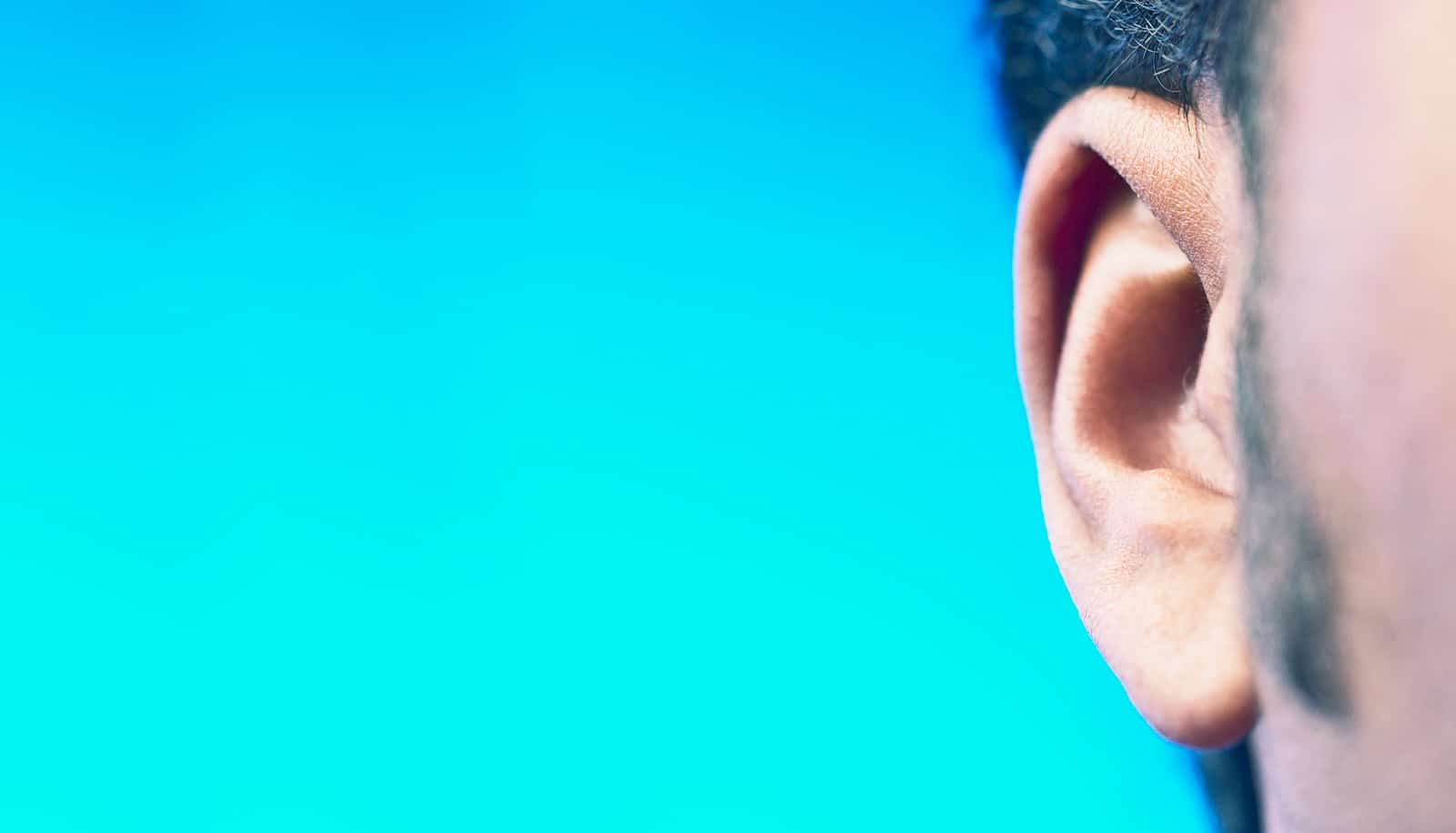 Could hair cell regrowth restore lost hearing? - Futurity