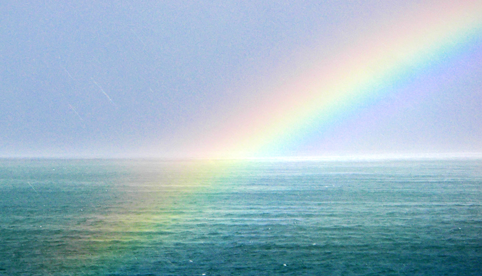 These cyanobacteria change color to match ocean light - Futurity