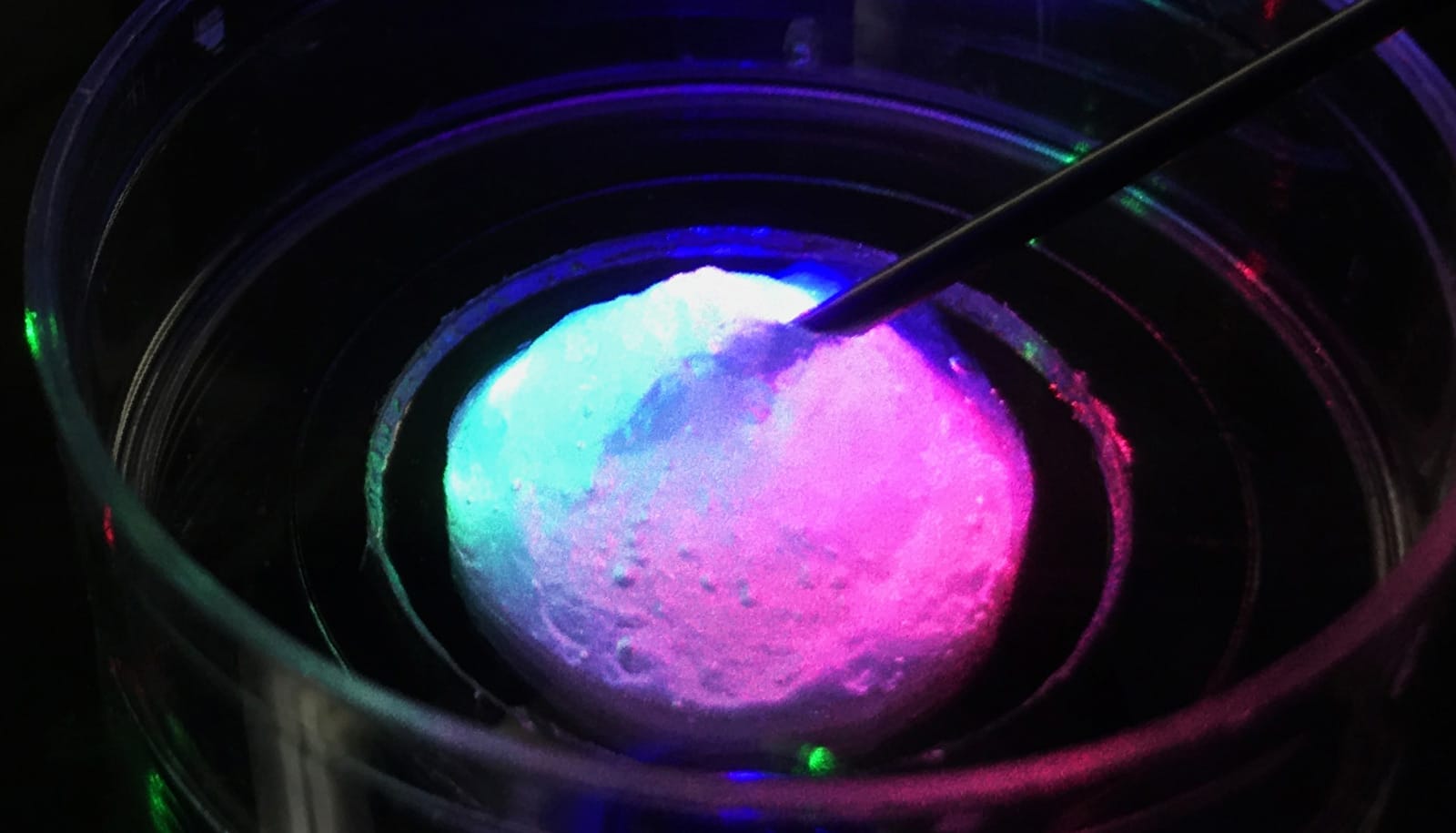 Injectable goo could bring drugs to cancerous tumors - Futurity