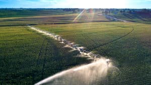 Lots of irrigation may send rain elsewhere - Futurity