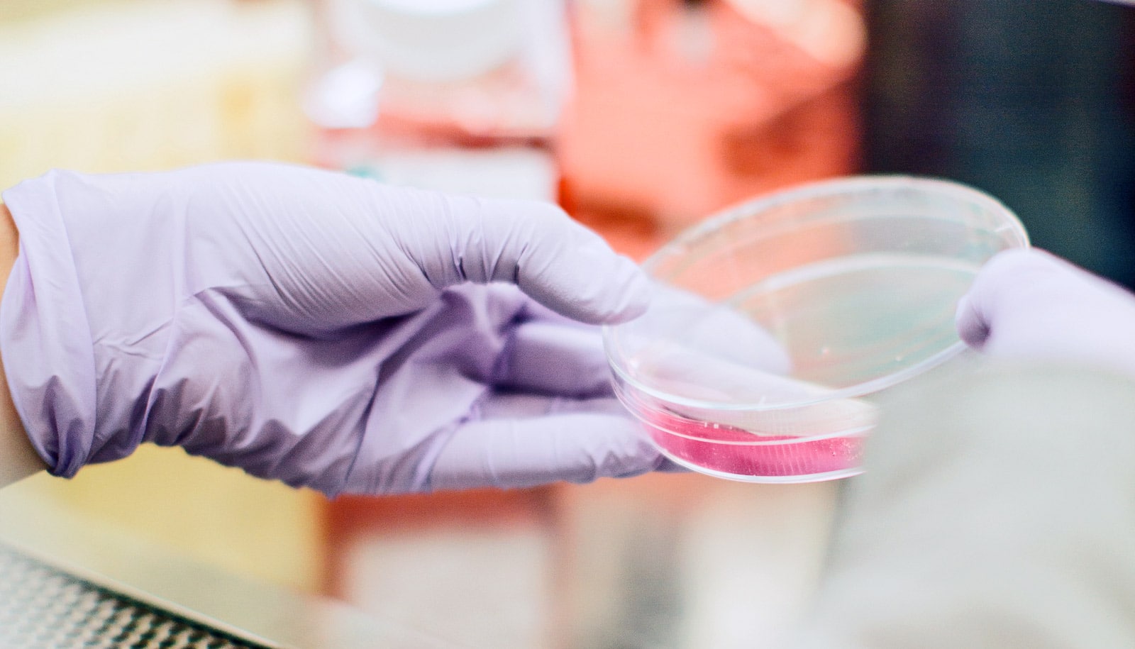 Creating human-chicken embryos clarifies 'organizer' cells - Futurity