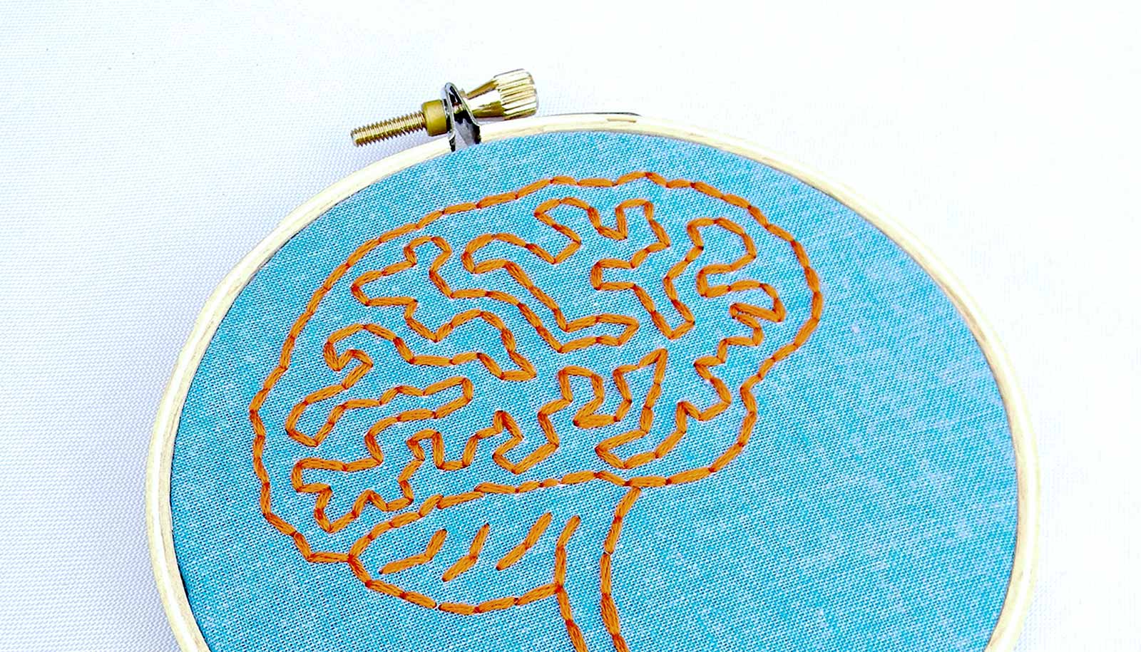 Rare mutation sheds light on the brain's wiring - Futurity