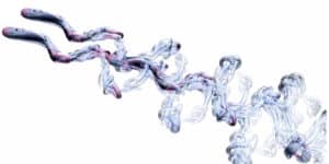 Swimming in schools gives fish an energy boost - Futurity