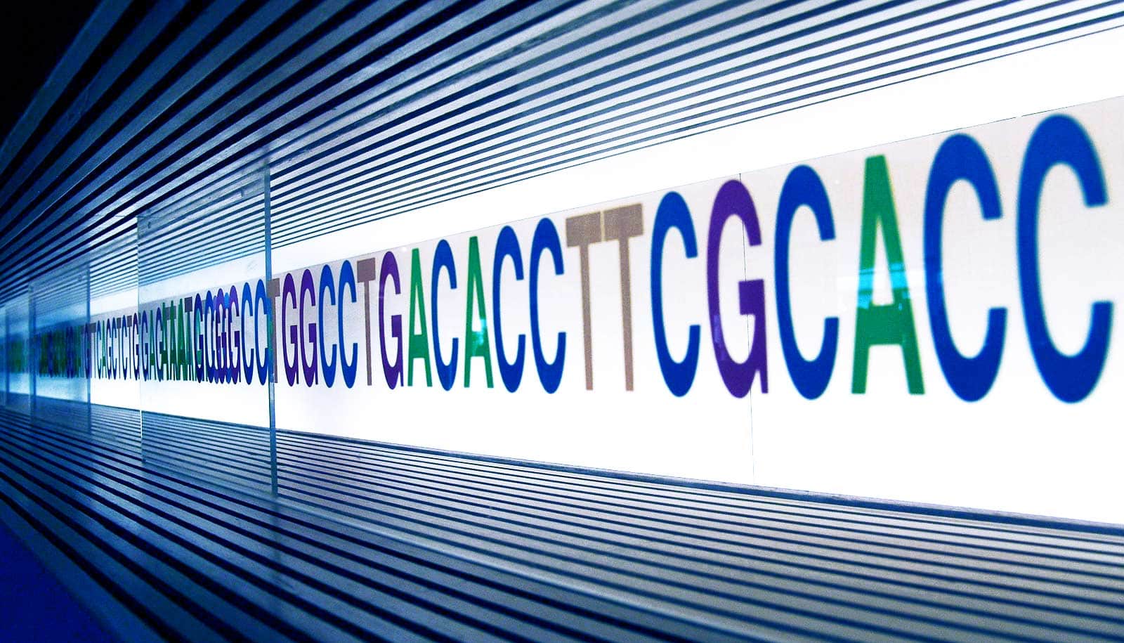 Risk for genetic errors swells at DNA 'hotspots' - Futurity