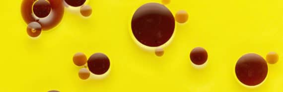 Lipid droplets do a lot more than store fat - Futurity