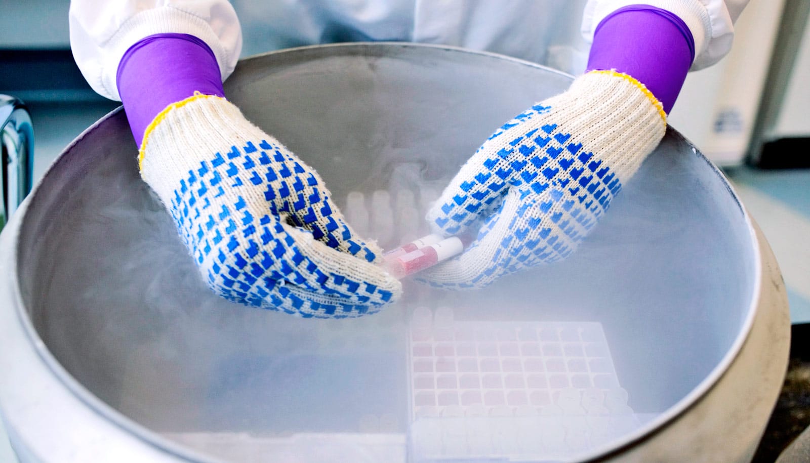 'Antifreeze' proteins let bacteria survive cold storage - Futurity