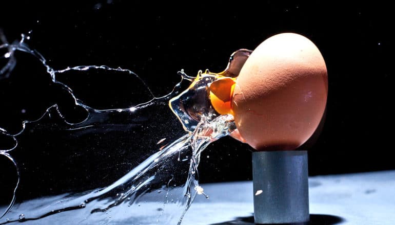 Egg Explosion 1600 Futurity