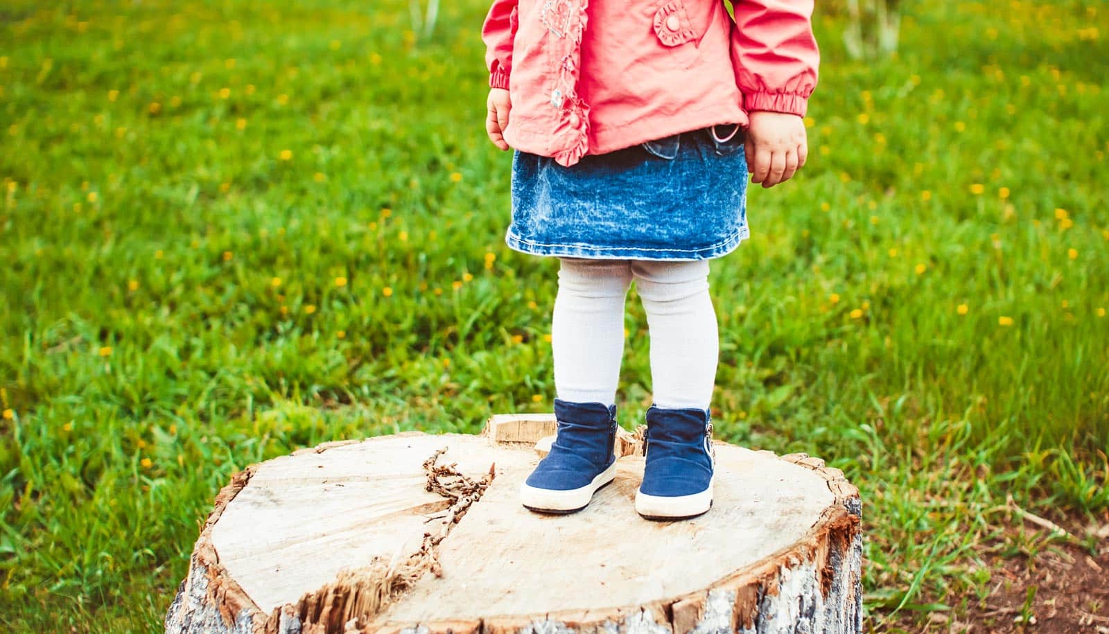 Why are there no animals with three legs? - Futurity