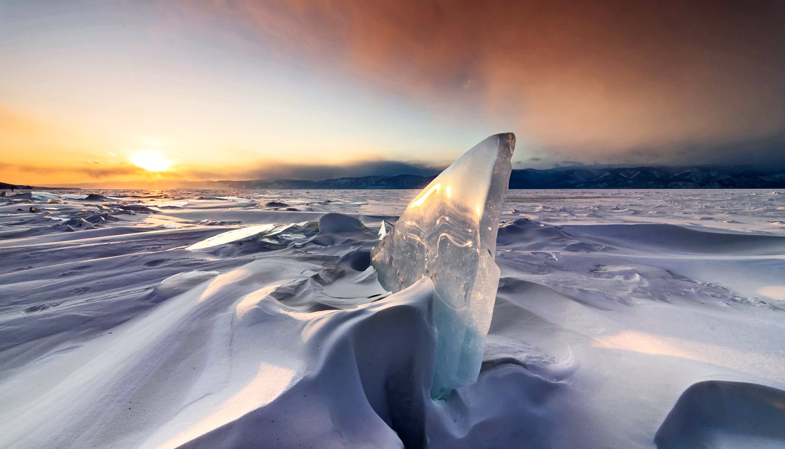 To stay warm in the cold, microbes go dark - Futurity