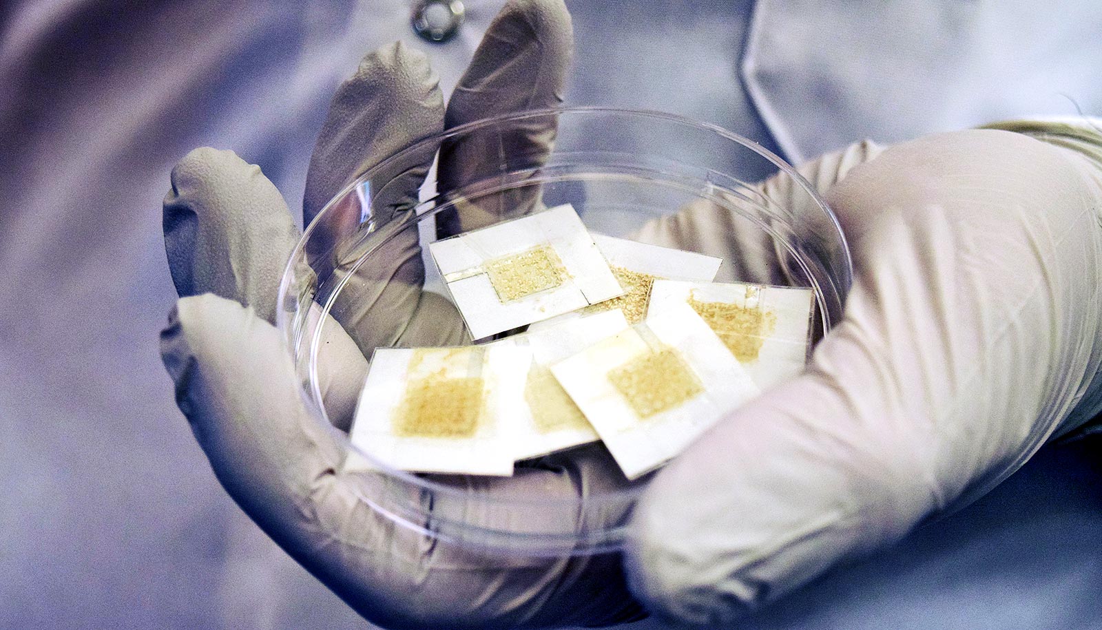 Electronic 'tattoo' monitors heart for days - Futurity