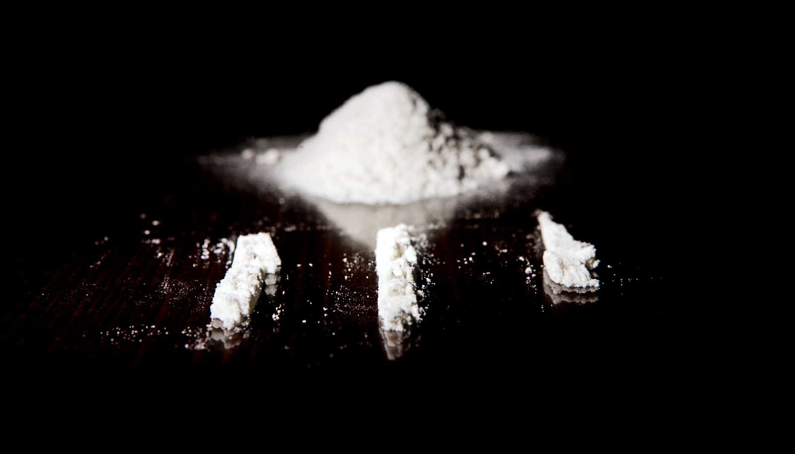 These neurons could be key to fighting addiction - Futurity