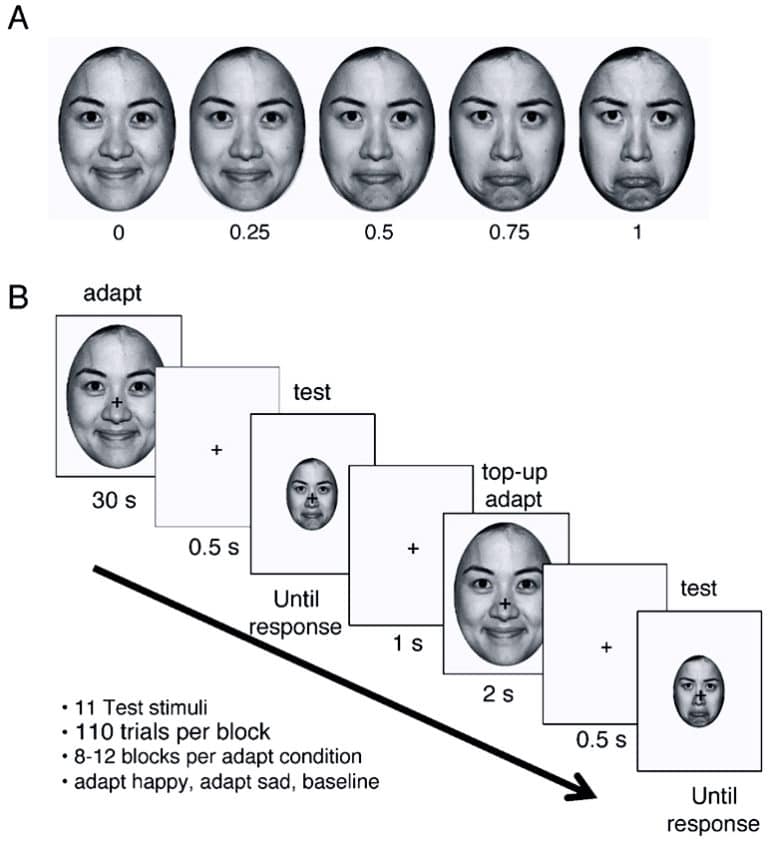 How our brains cause common 'aftereffect' optical illusion - Futurity