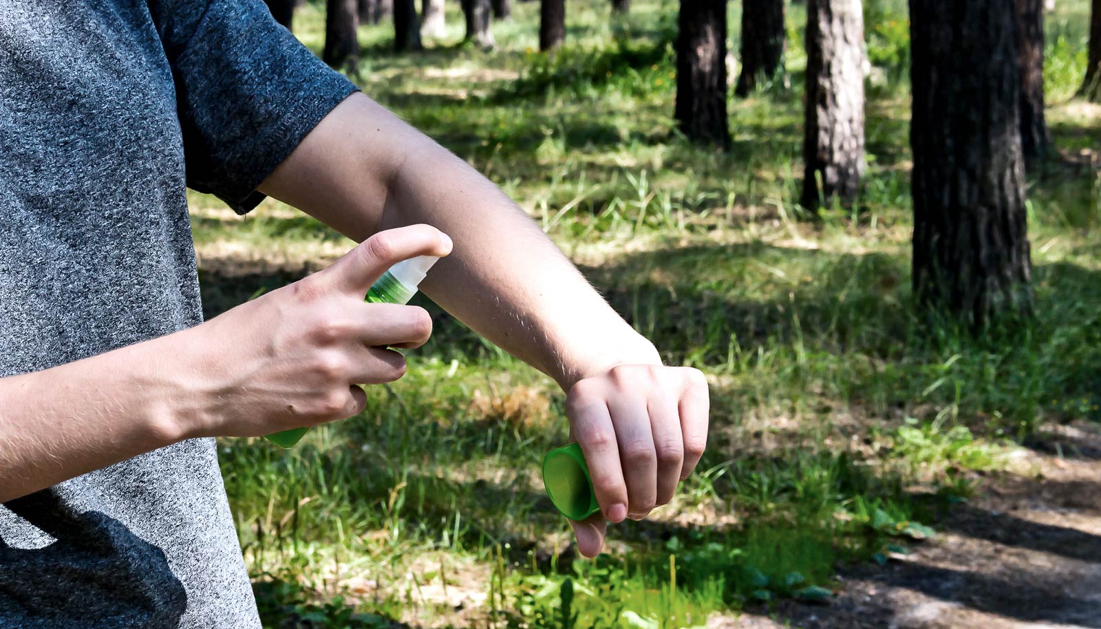 How DEET muddles critters' minds - Futurity