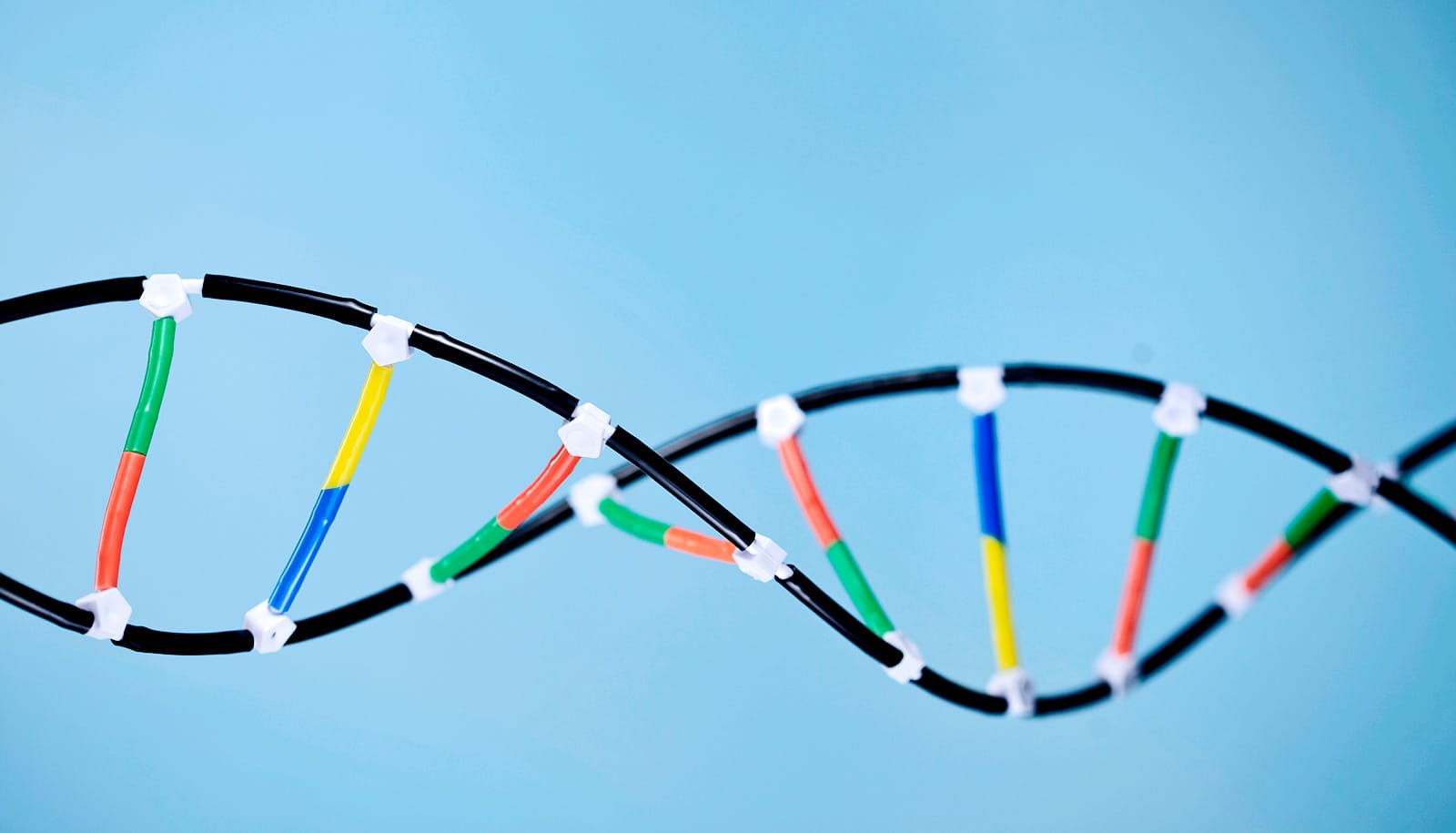 Germs dodge immune defenses with DNA-building enzymes - Futurity