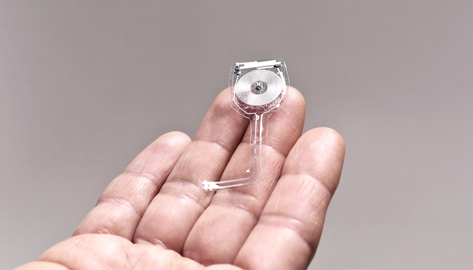 Implant dissolves into the body after it speeds nerve healing - Futurity