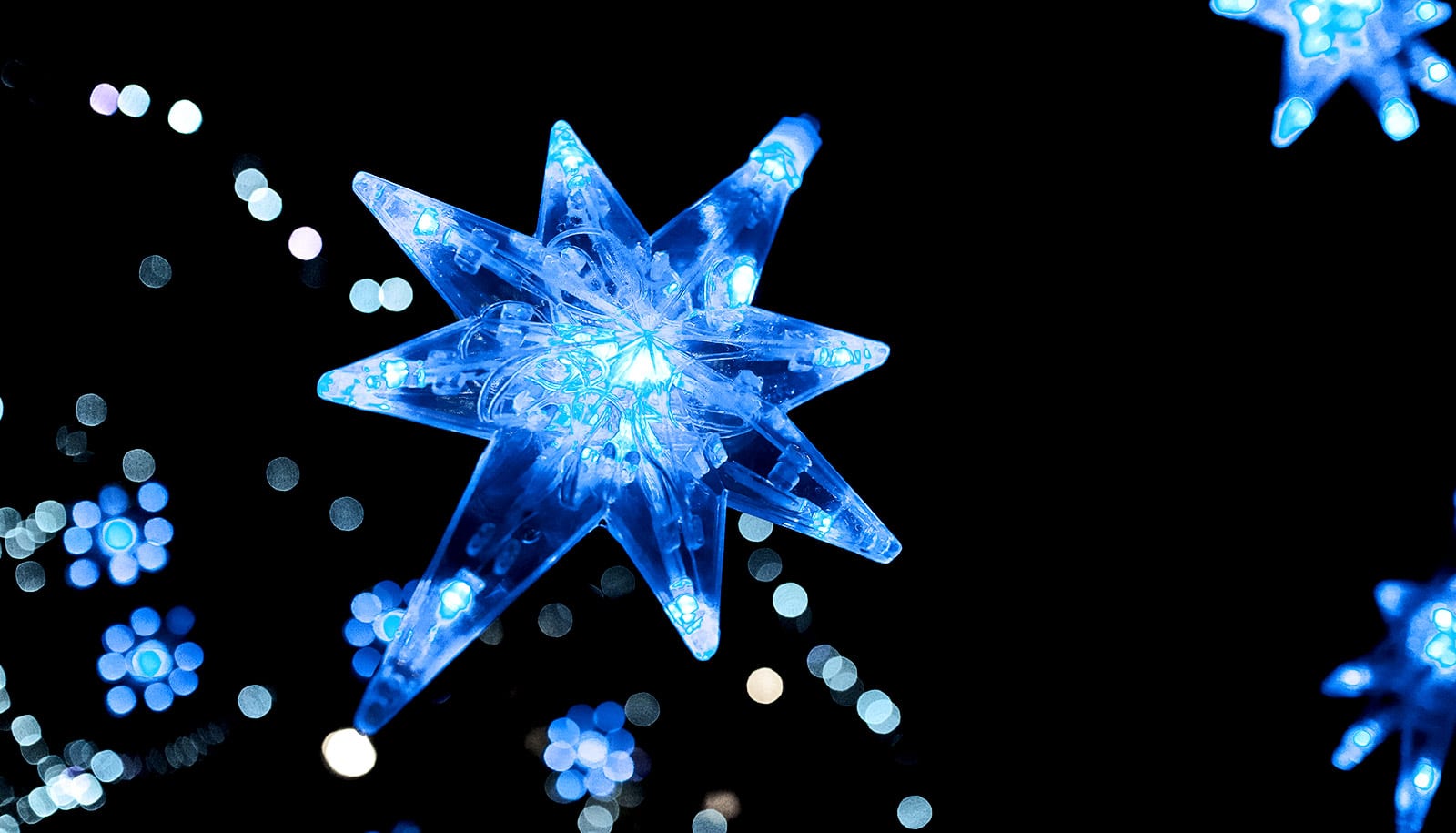 3D simulation delves into blue star mystery - Futurity