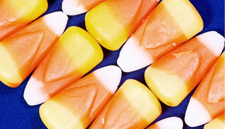 candy-corn-teeth_1600 - Futurity