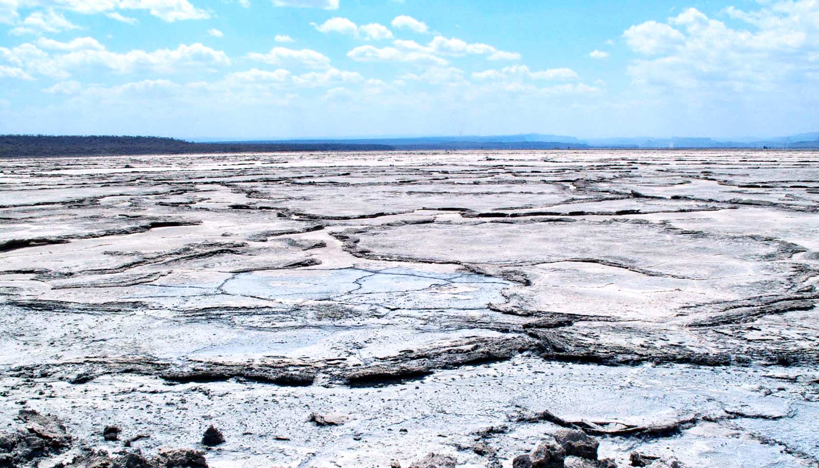 Drier climate may have sparked human evolution - Futurity