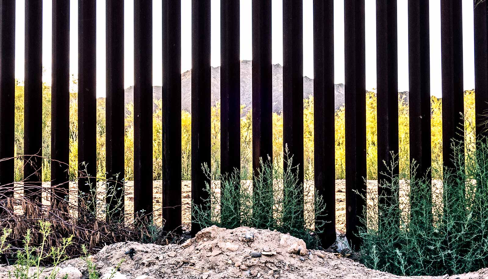 Border wall came at high cost, low benefit for U.S. workers - Futurity