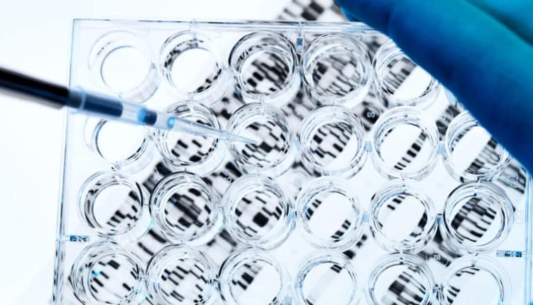 pipette-DNA-analysis-concept_1600 - Futurity