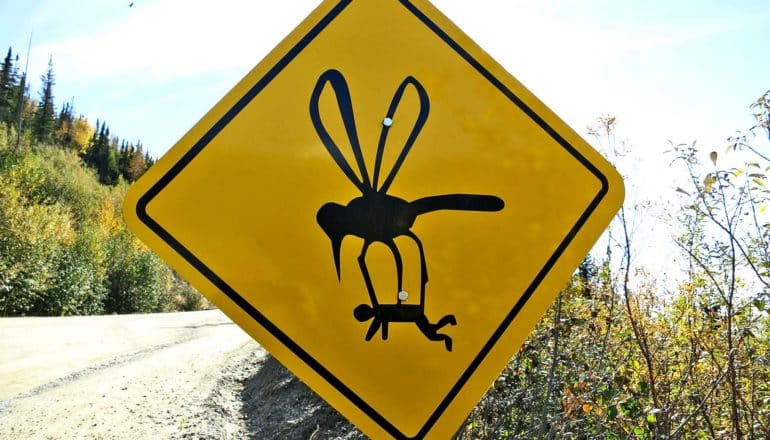mosquito-carrying-person-sign_1600 - Futurity