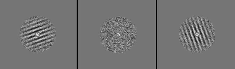 Can categorization break the 'curse' on learning? - Futurity