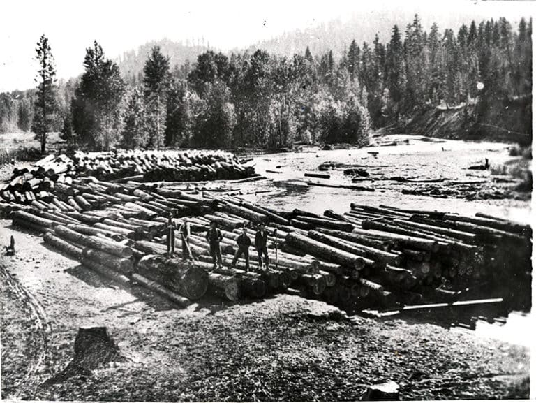 Logging hit 'fast forward' on an entire river's erosion - Futurity