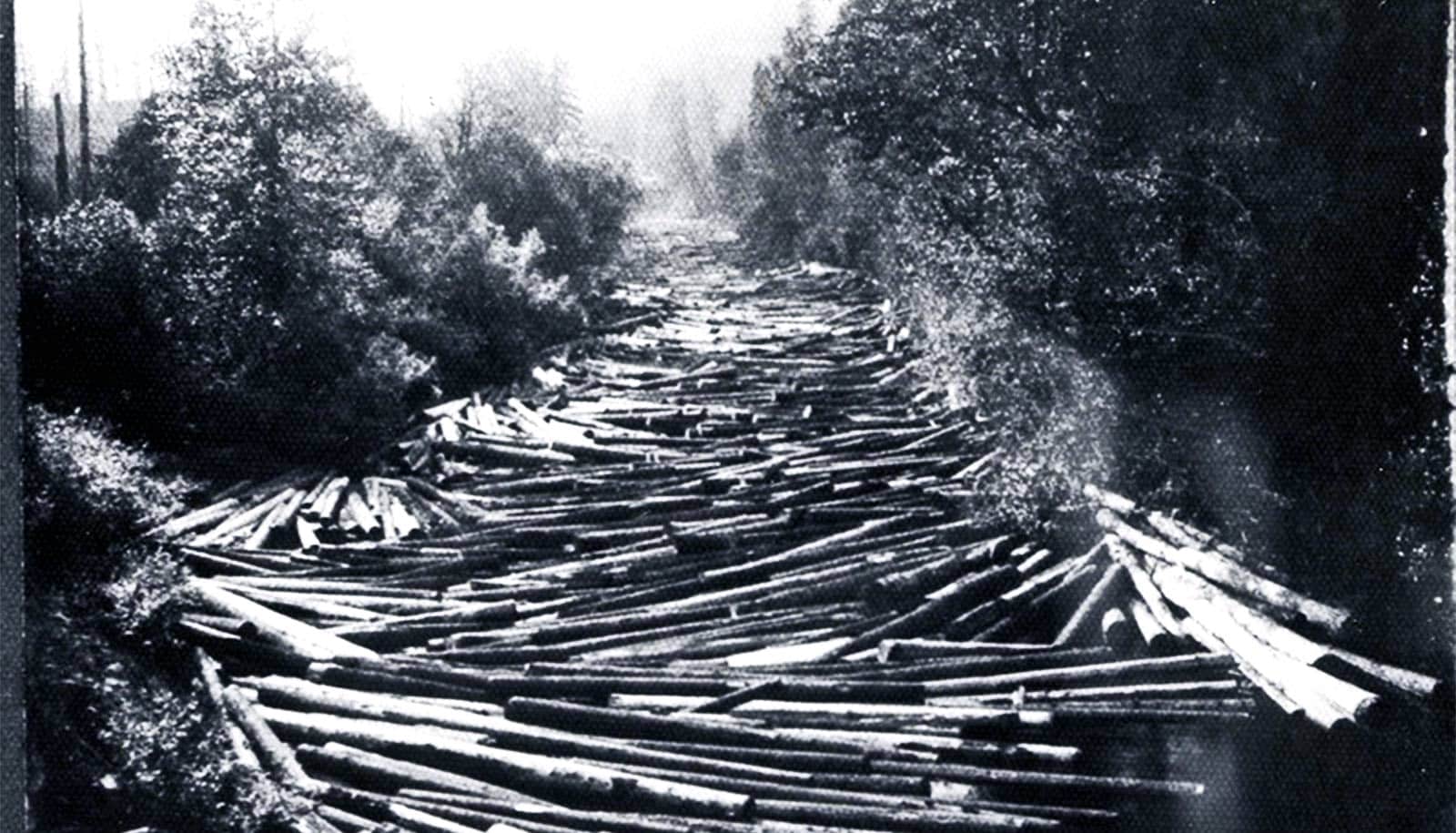 Logging hit 'fast forward' on an entire river's erosion - Futurity