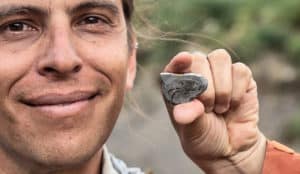 'Unusual and cute' new species could redefine the crab - Futurity