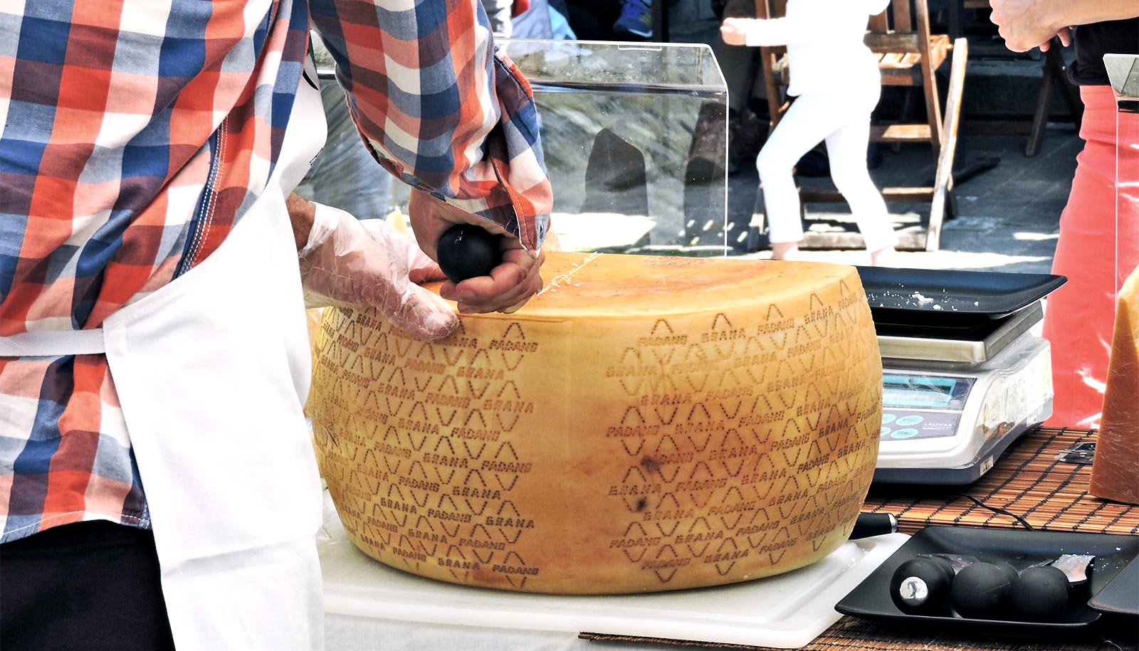 Rind bacteria may be key to cheese allergy relief - Futurity