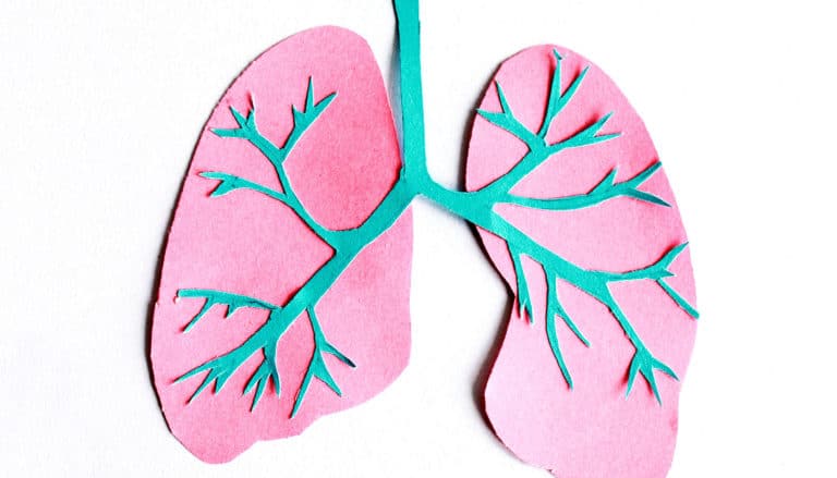 paper-lungs-on-white_1600 - Futurity