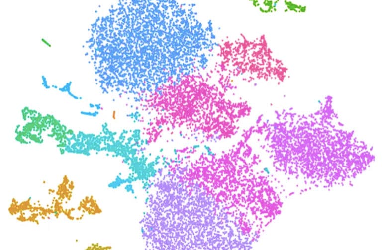 Atlas of retina genes could help prevent blindness - Futurity
