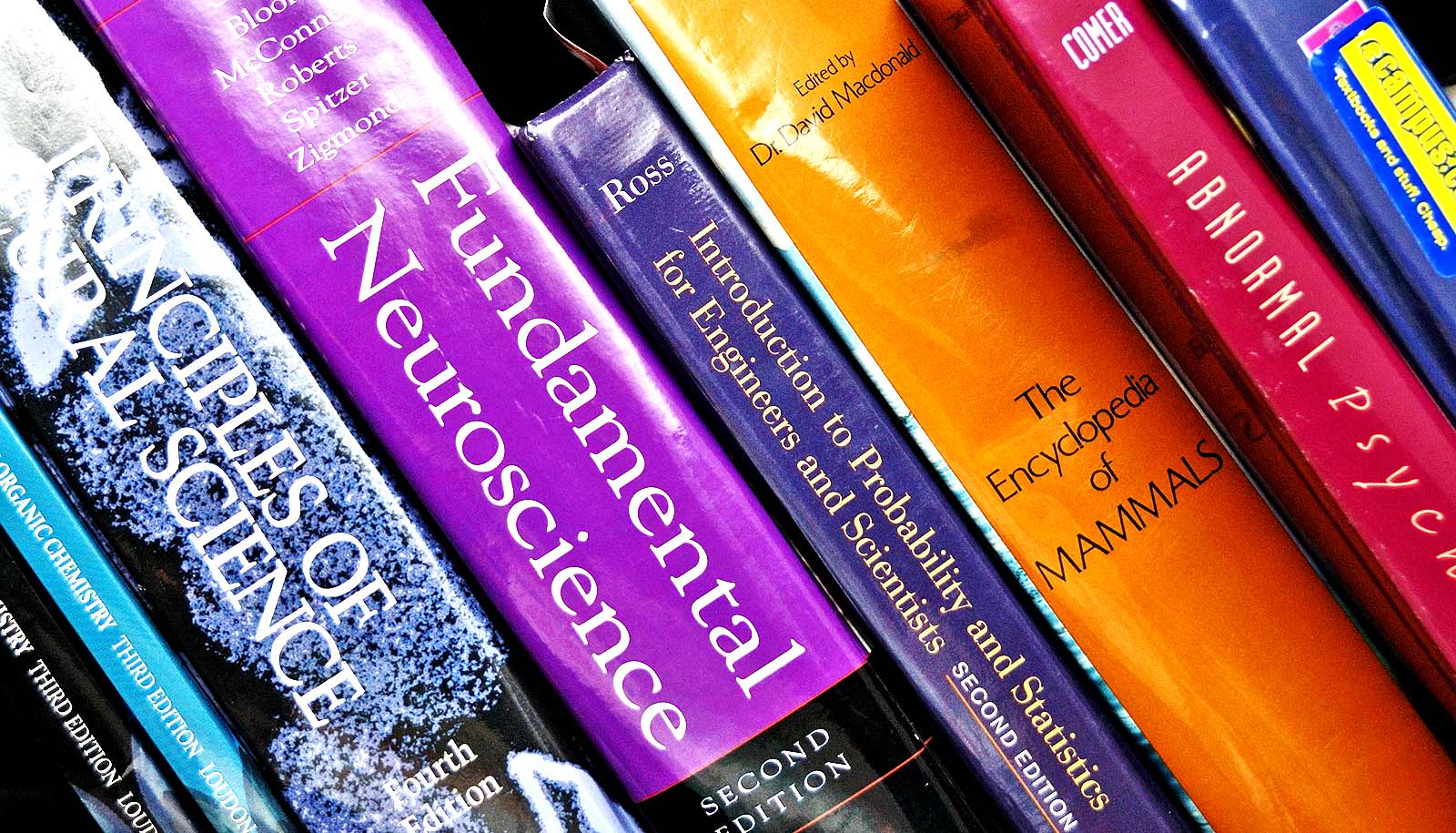 Do our electronic devices make it tougher to grasp science? | WordDisk