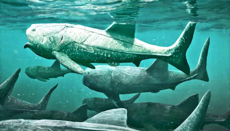 Titanichthys_1600 - Futurity